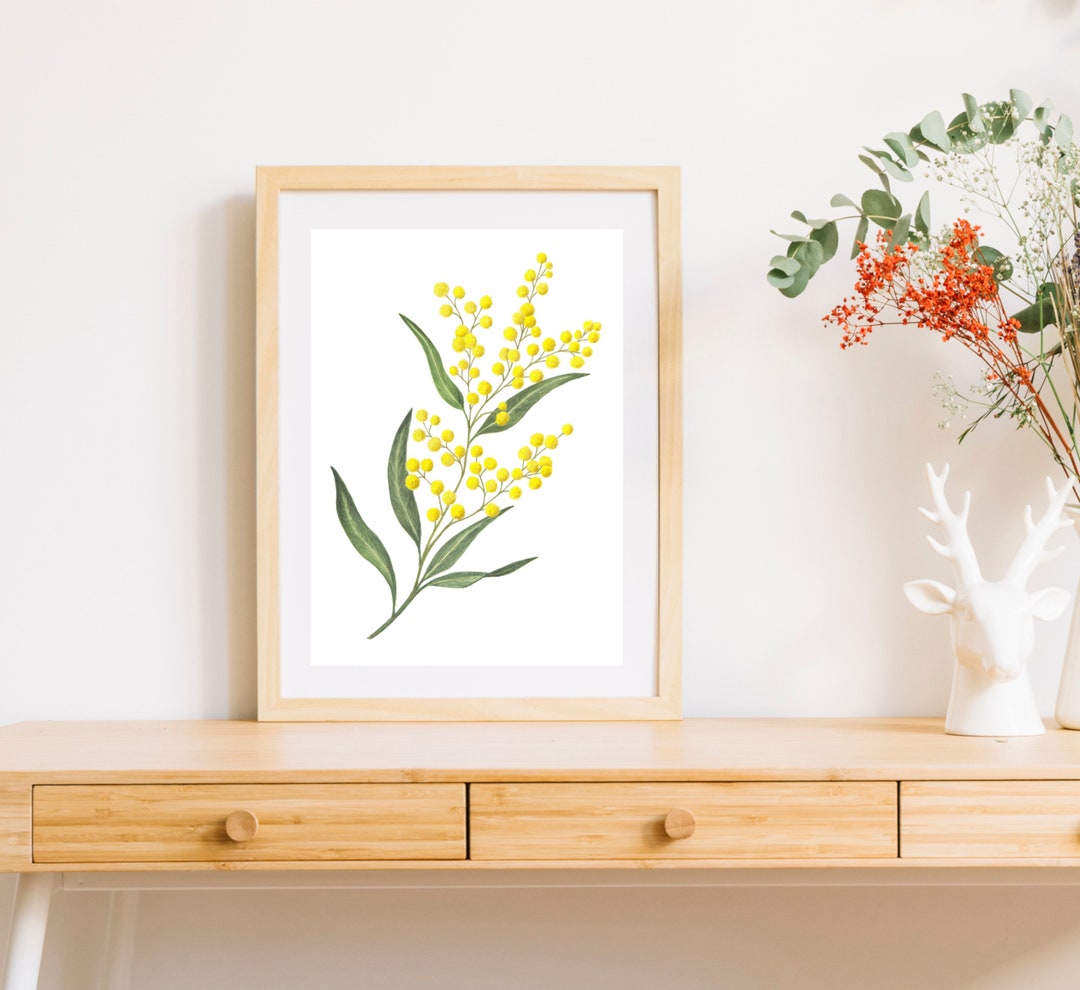 Golden Wattle Watercolor Art Print: Botanical Wall Decor - Etsy