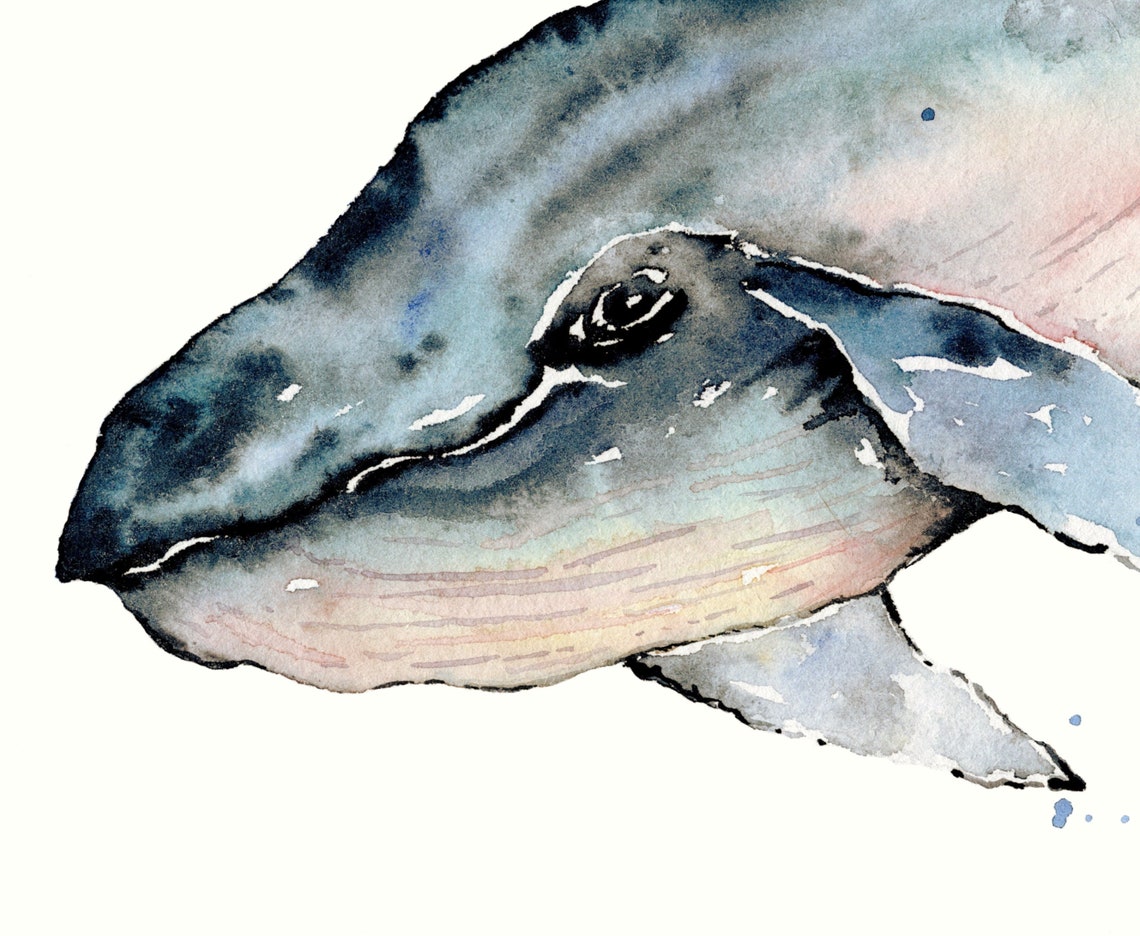 Blue Whale Art Print, Watercolour Blue Whale, Modern Art Print ...