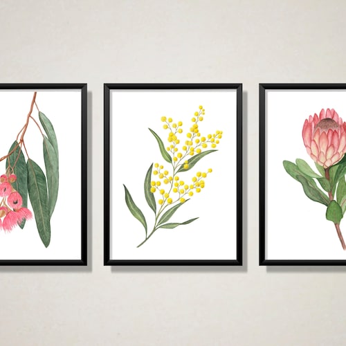 Set of 3 Watercolour Australian Native Flower Prints - Etsy Australia
