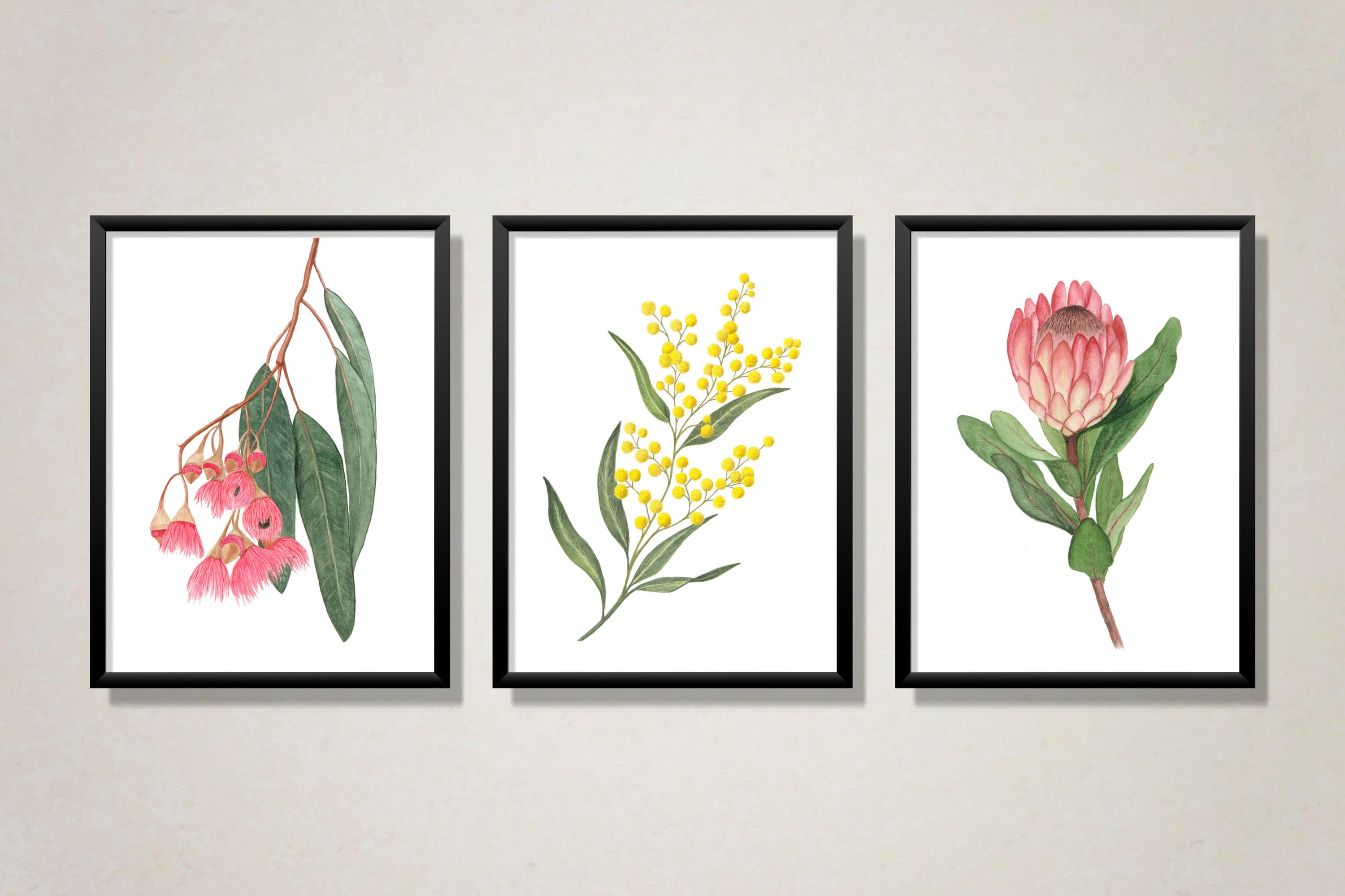 Set of 3 Watercolour Australian Native Flower Prints | Etsy