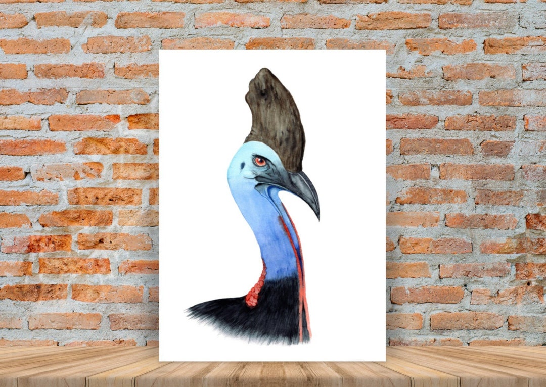 Cassowary Art Print, Australian Exotic Bird Wall Art, Watercolor Art ...