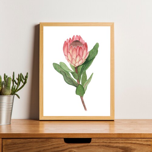Australian Flowers Art Print Native Aussie Flora Wall Decor - Etsy ...