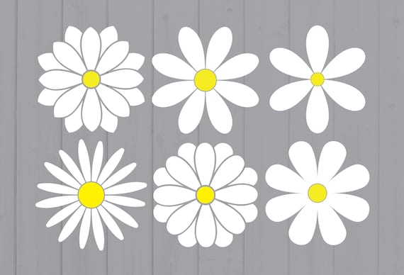 Daisy SVG Bundle Commercial Use Cut File Layered Flower SVG - Etsy Canada