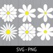 Daisy SVG Bundle, Commercial Use Cut File, Layered Flower SVG, Cut File ...