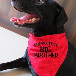 Promoted to Big Brother Dog PNG, Big Brother Dog PNG, Dog Sibling, Dog ...