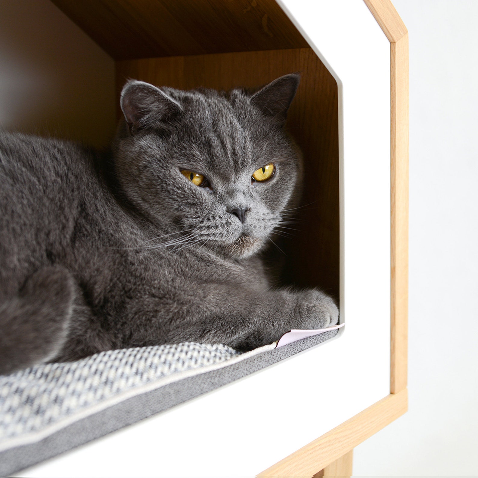 Premium Cat House Cat House Oak Wood Cat House Cat Tree Etsy Uk