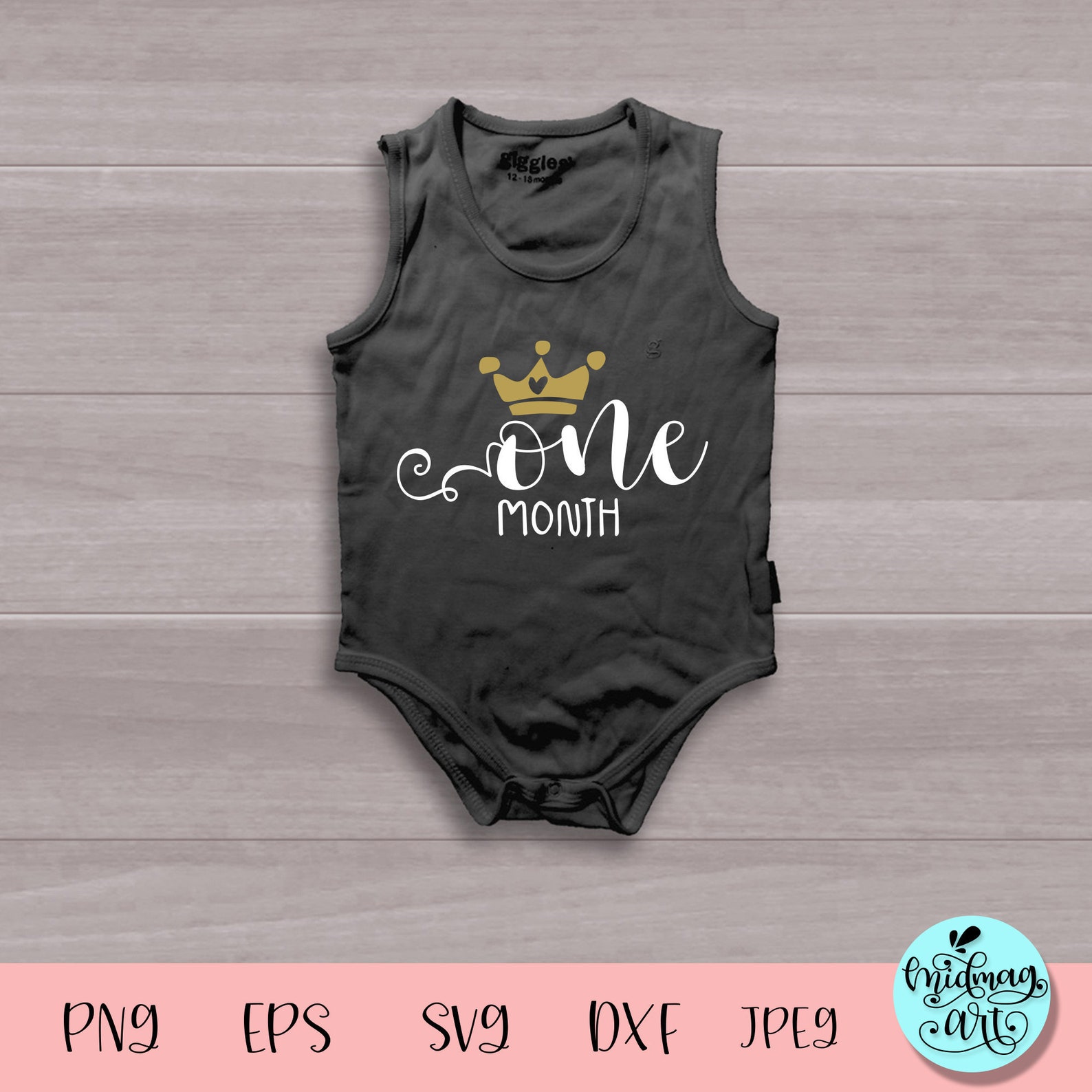 One Month Svg One Month Old Svg Baby Milestones Svg One - Etsy