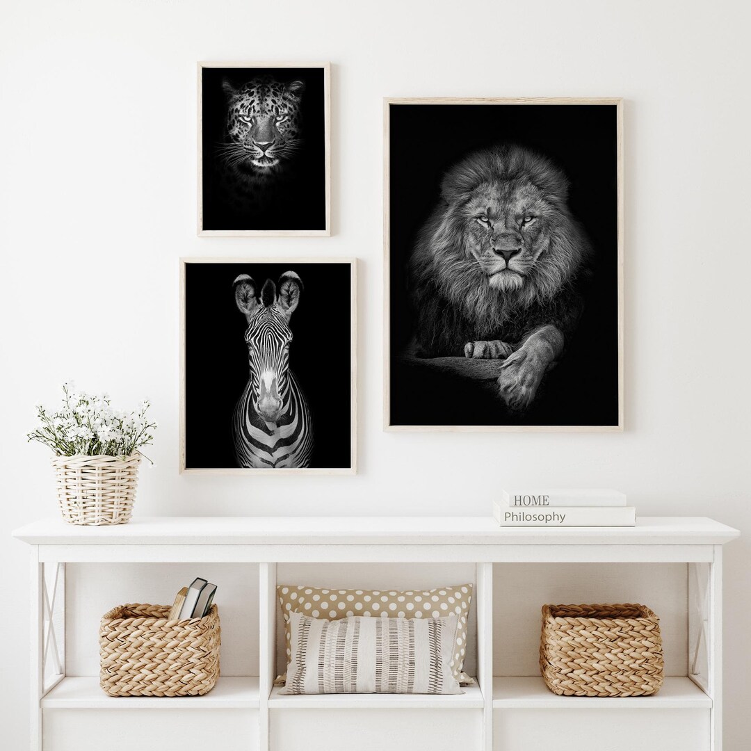 Set of Three Black and White Animal Portraits - Lion, Leopard, Zebra ...