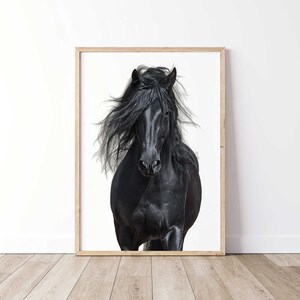 Set of 3 Black Horse Art Prints - Elegant Black Horse Trio Art Prints ...