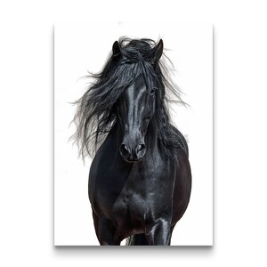 Set of 3 Black Horse Art Prints - Elegant Black Horse Trio Art Prints ...