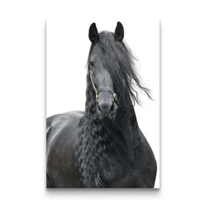 Set of 3 Black Horse Art Prints - Elegant Black Horse Trio Art Prints ...