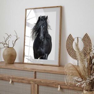 Set of 3 Black Horse Art Prints - Elegant Black Horse Trio Art Prints ...
