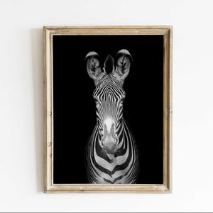 Set of Three Black and White Animal Portraits - Lion, Leopard, Zebra ...
