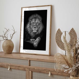 Set of Three Black and White Animal Portraits - Lion, Leopard, Zebra ...