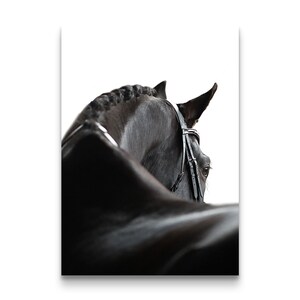 Set of 3 Black Horse Art Prints - Elegant Black Horse Trio Art Prints ...