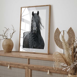Set of 3 Black Horse Art Prints - Elegant Black Horse Trio Art Prints ...