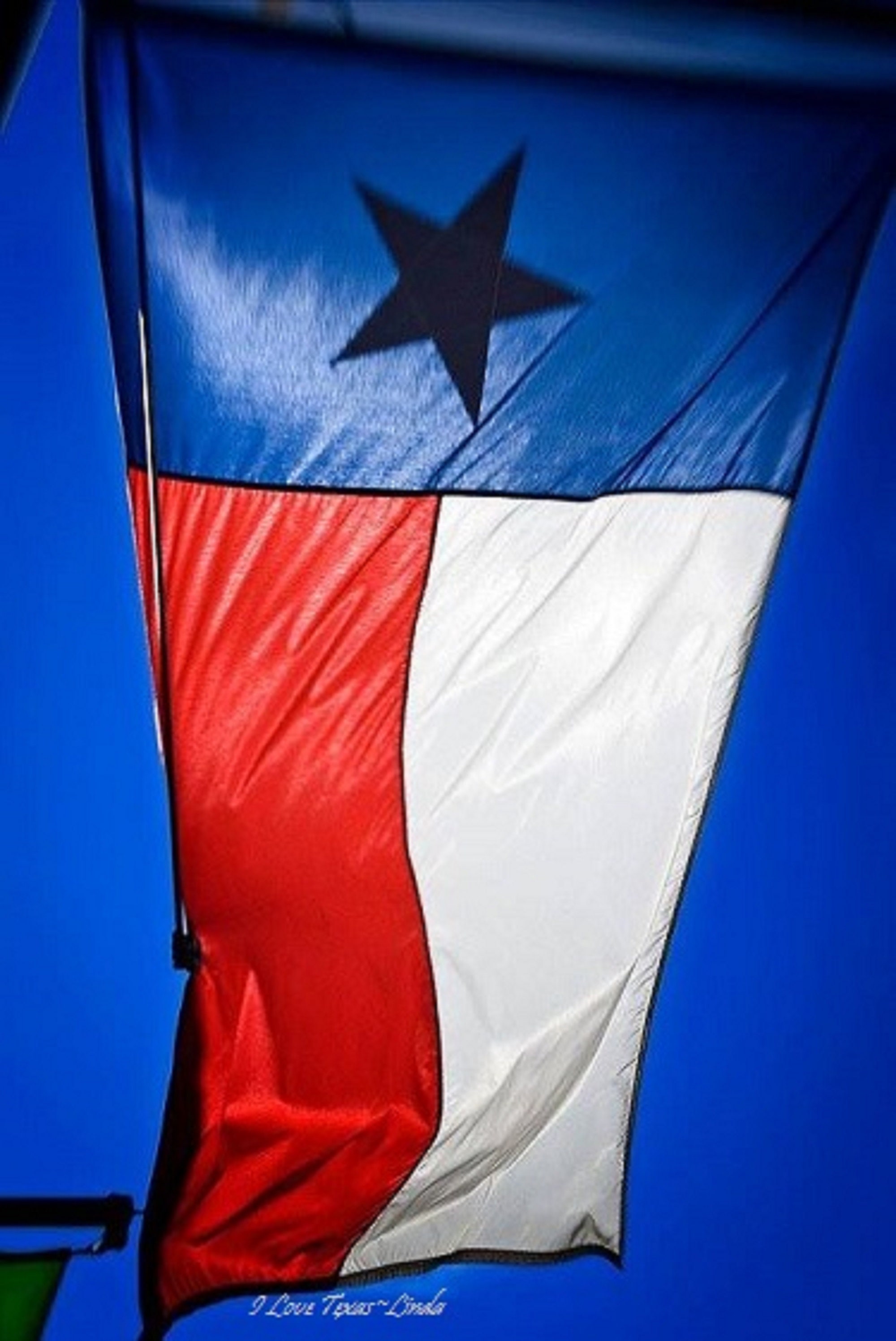 Bandera De Un Brazo De La Batalla De Texas Con Desfile Estudiantil
