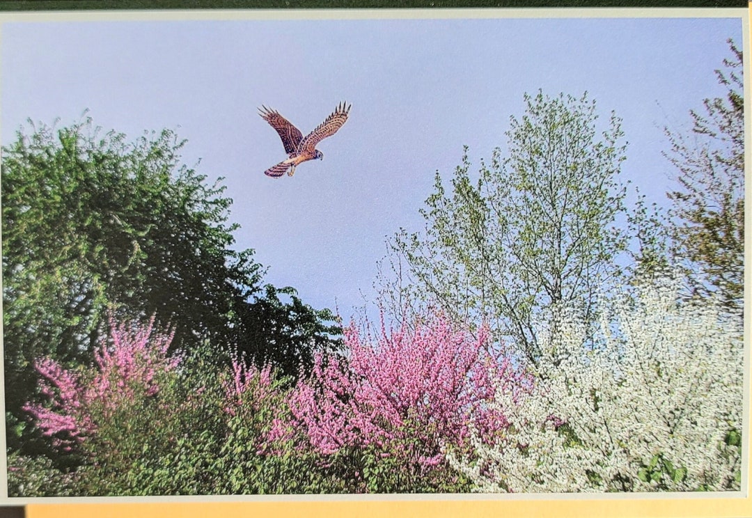 Inheritance Notecard 4x6 With Kraft Envelope From an Original ...