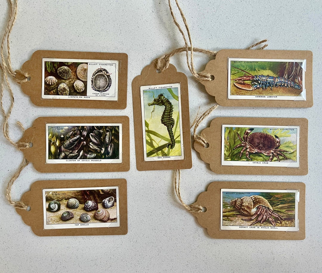 Gift Tags Sea Life Vintage Cigarette Cards - Etsy