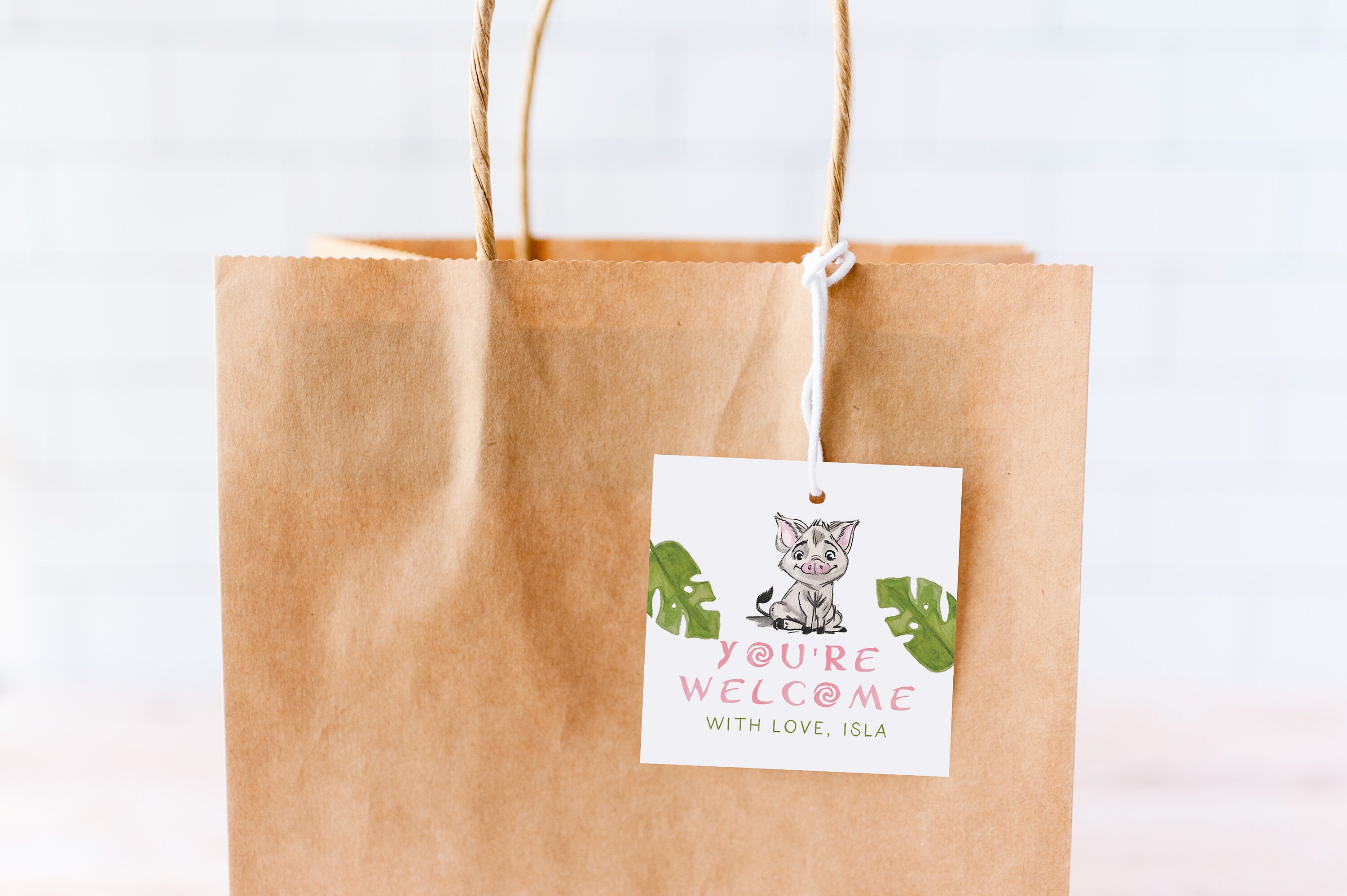 Pua & Hei Hei - Moana - Digital | Printable Welcome Sign - Etsy