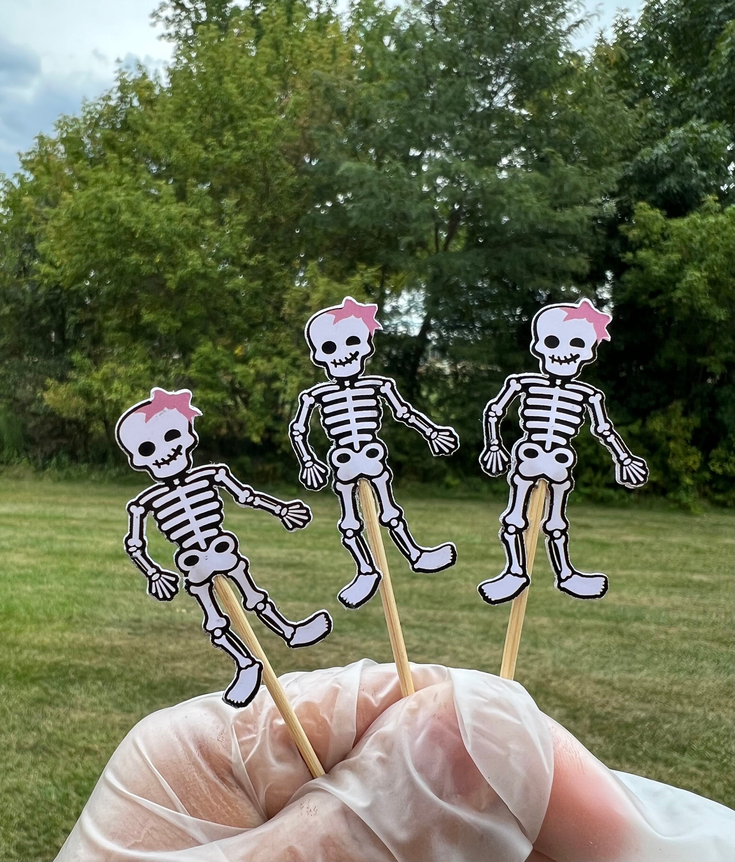 Skeleton Gender Reveal Cupcake Toppers - Etsy