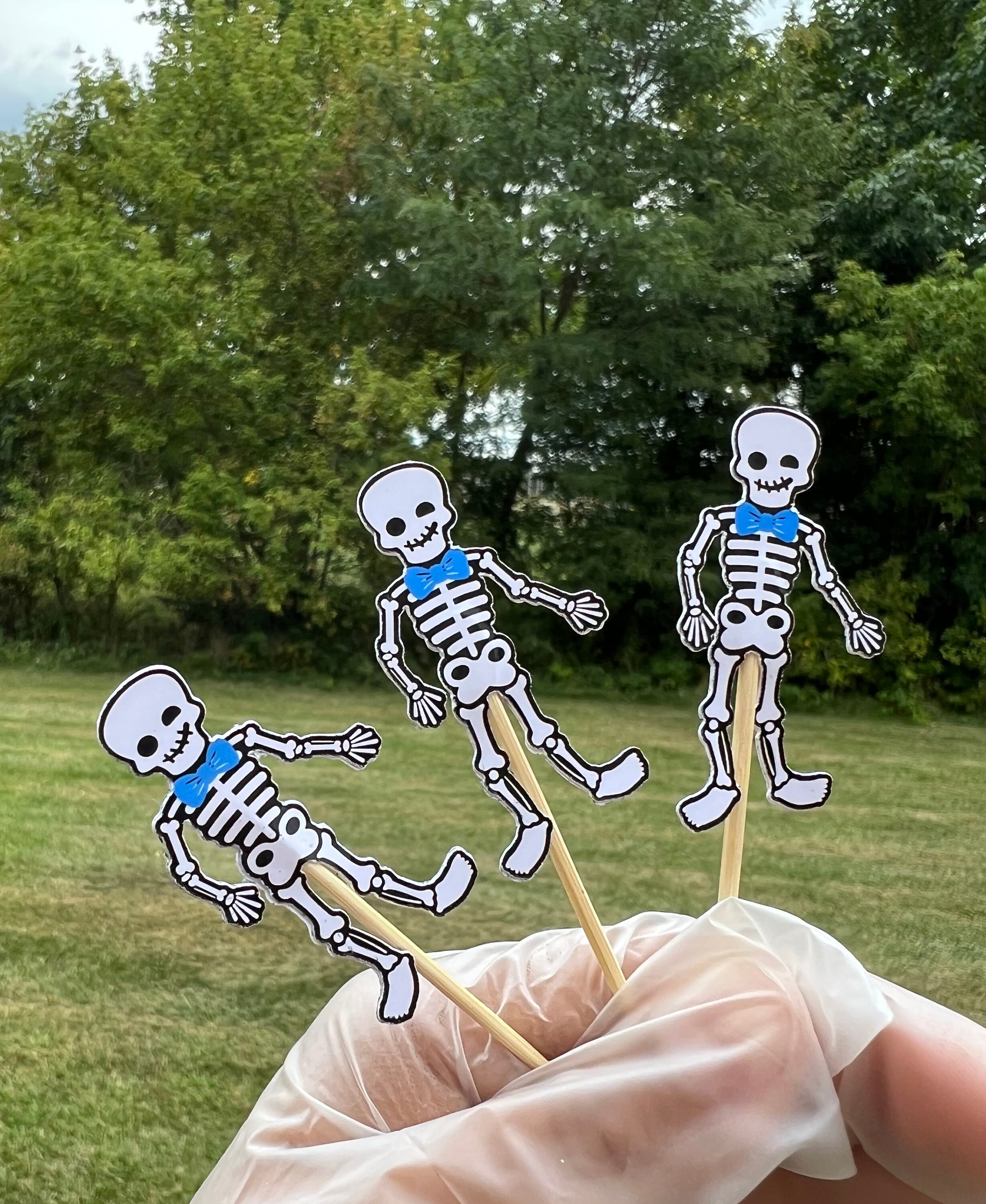 Skeleton Gender Reveal Cupcake Toppers - Etsy