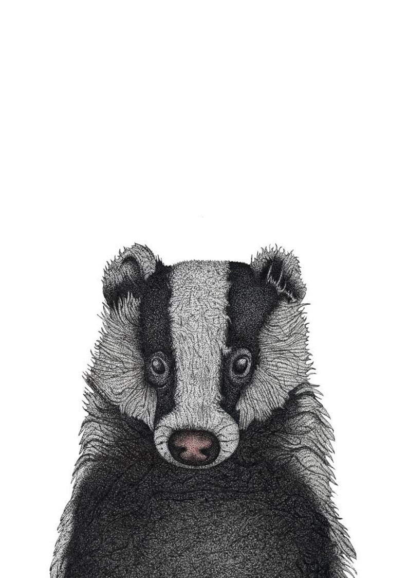 Badger Print 3/25 | Etsy