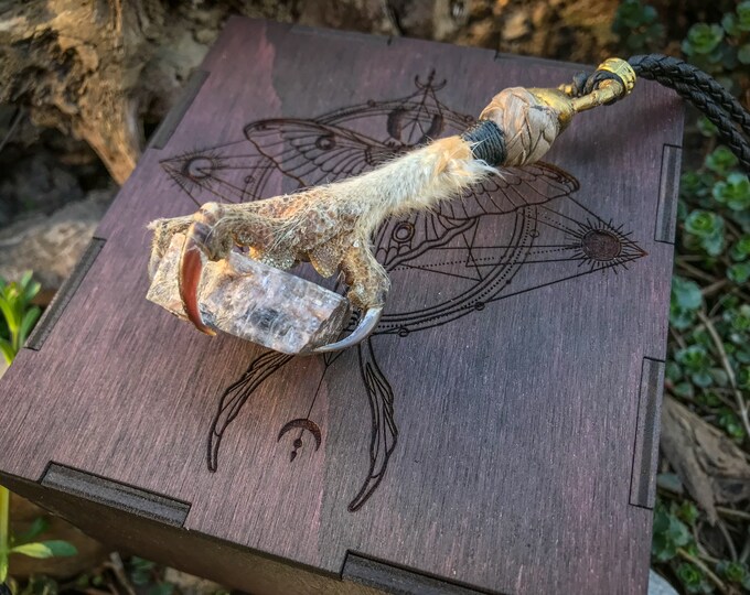Barn Owl Claw, Shamanic Talisman, Raw Black Moonstone,custom Wooden Box ...