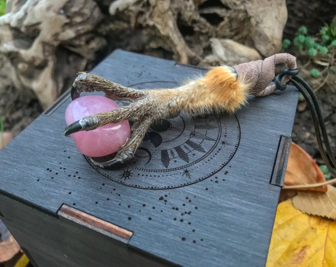 Shamanic Talisman, Pendant, Barn Owl Claw, Roze Quartz , Leather Cord ...