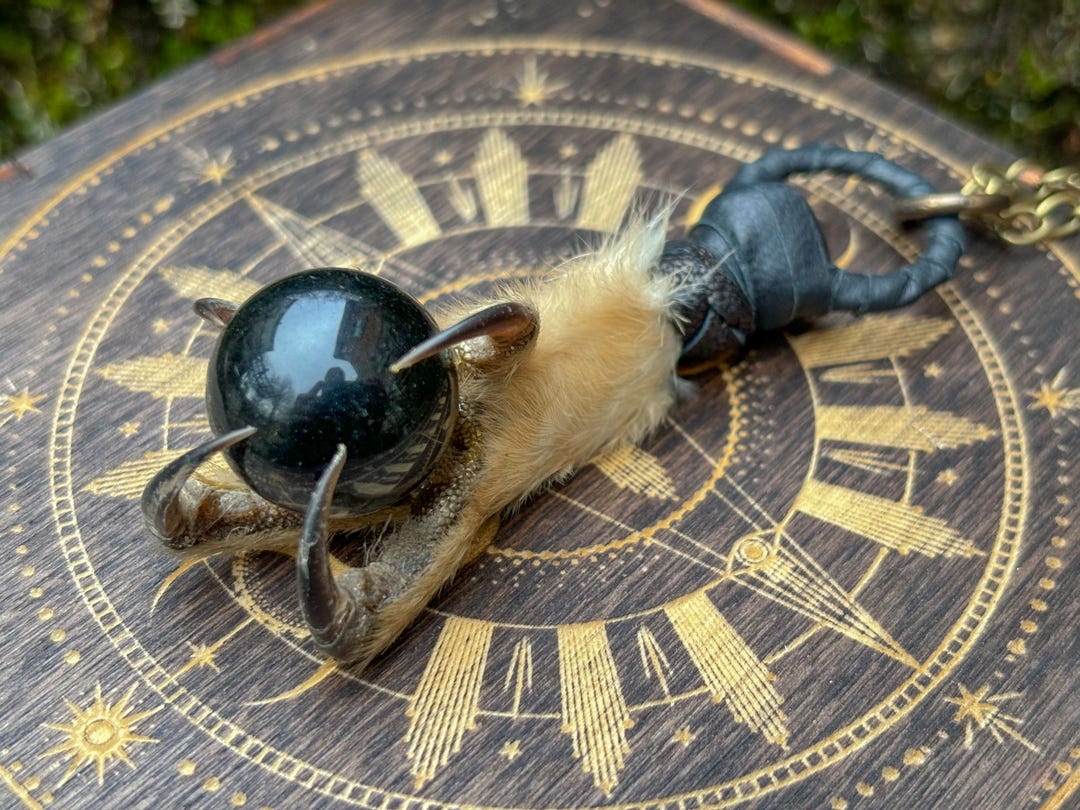 Shamanic Talisman,pendant,long Eared Owl Claw,obsidian Sphere ,leather ...