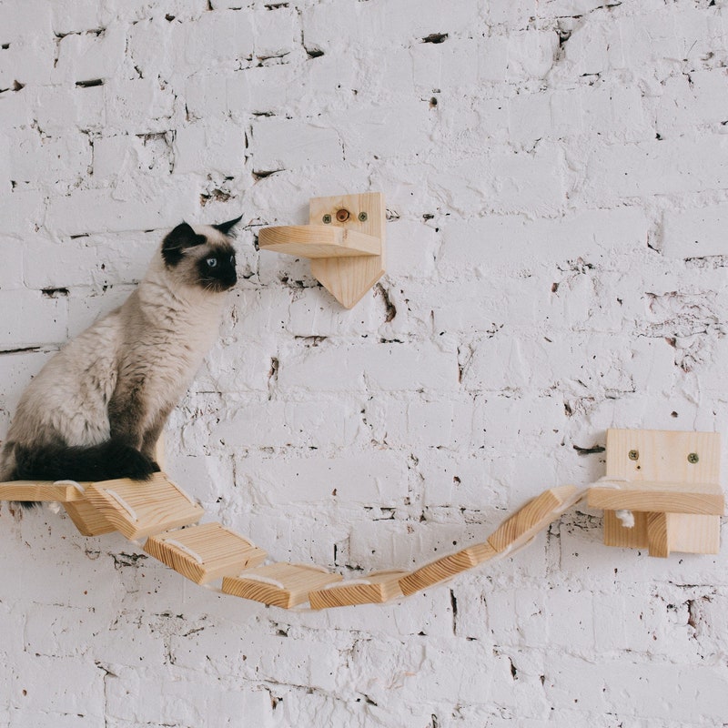 Cat Bridge - Etsy