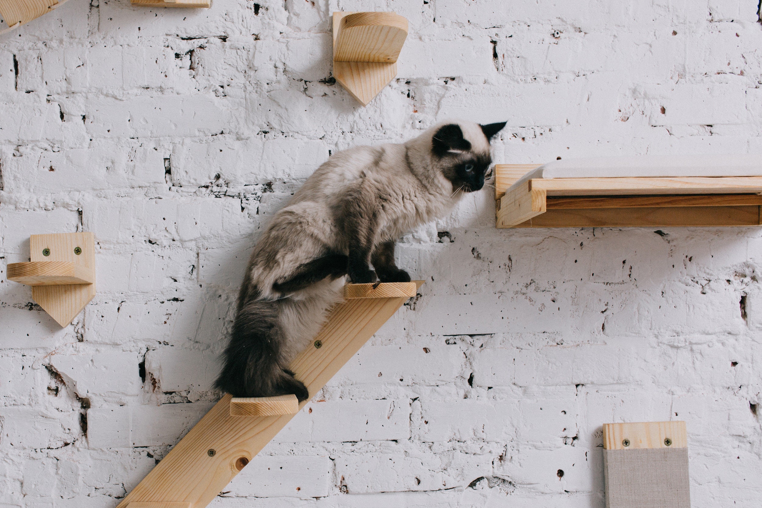 Pine Wood Cat Wall Ladder Steps With Carpet or Sisal Rope, Pet Wooden ...