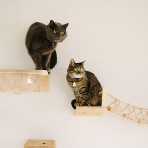 Wooden Cat Wall Mounted Bed Made From Natural Ecological Wood, Perch ...
