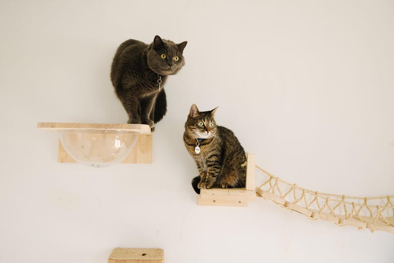 Wooden Cat Shelf, Wall Mounted Bed Made From Natural Ecological Wood ...