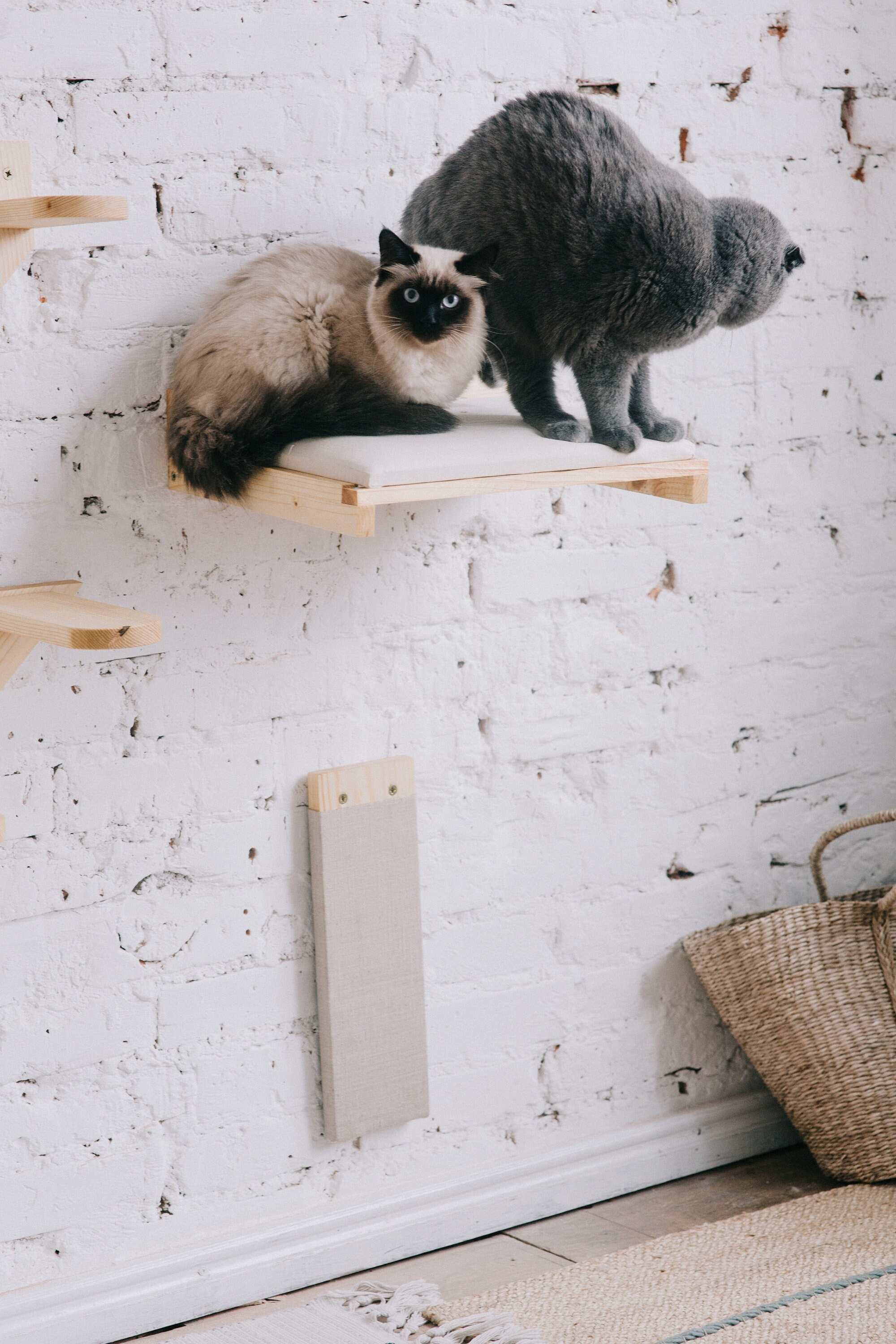Cat Scratching Post Wall Mounted, Cat Wall Furniture, Cat Wall Shelves ...