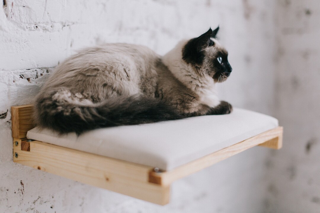 Wooden Cat Wall Hanging Bed Made From Recycled Wood, Cat Perch With ...