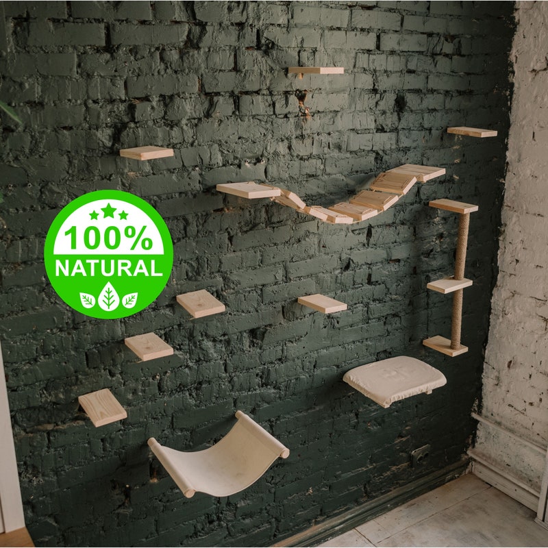 Cat Obstacle Course - Etsy UK