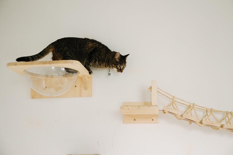 Cat Shelf Post, Wall Hammock Made From Natural Ecological Wood, Bed ...