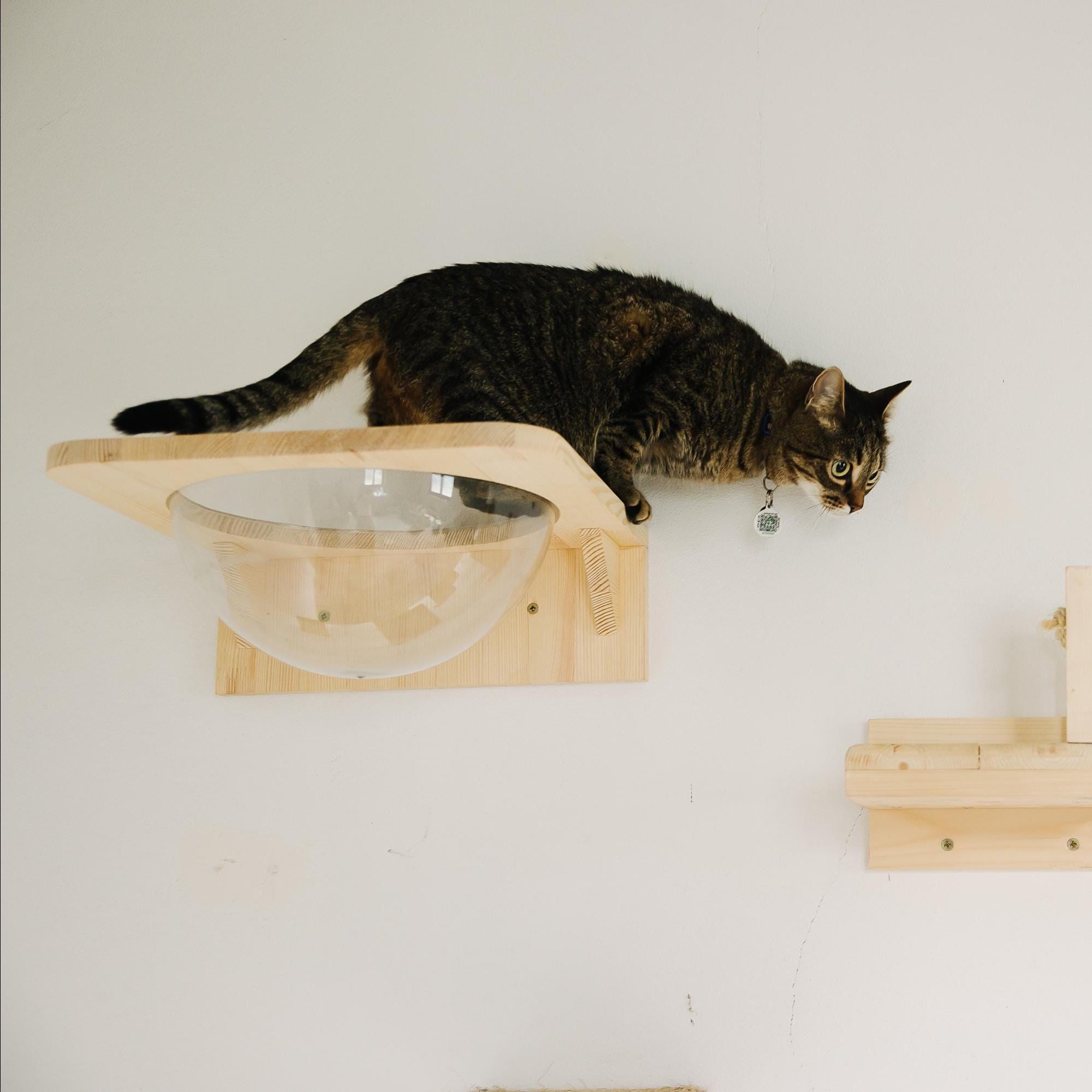 Wooden Cat Shelf, Wall Mounted Bed Made From Natural Ecological Wood ...