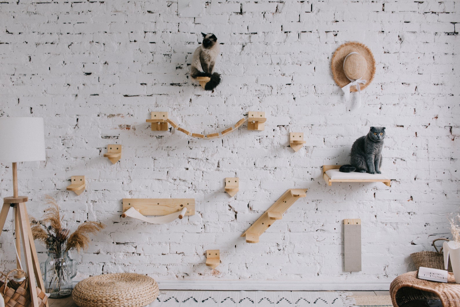 Pine Wood Cat Wall Ladder Steps With Carpet or Sisal Rope, Pet Wooden ...