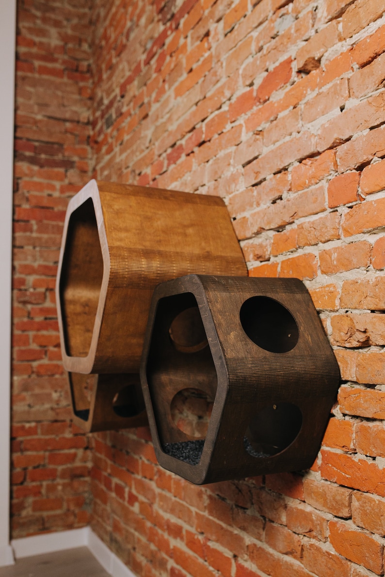 Cat Wall Hexagon Shelves Set Minimalist Honeycomb Cat Play - Etsy