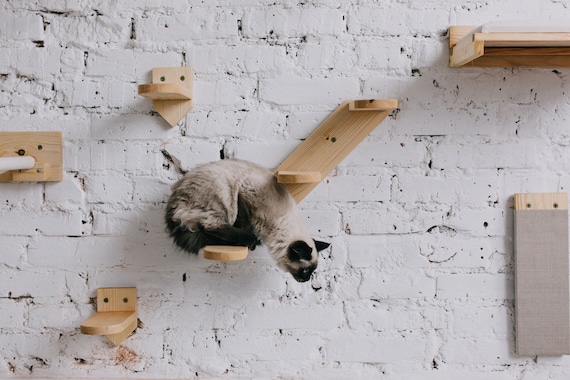 Pine Wood Cat Wall Ladder Steps With Carpet or Sisal Rope Pet - Etsy