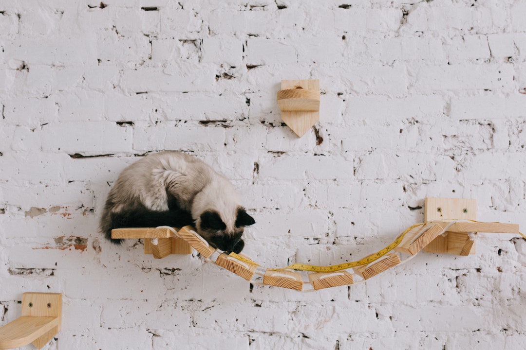 Wooden Cat Wall Mounted Bridge Made From Natural Eco-wood, Cat Play ...