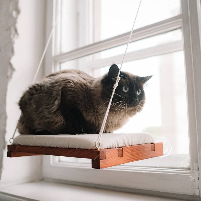 Cat Window Perch - Etsy