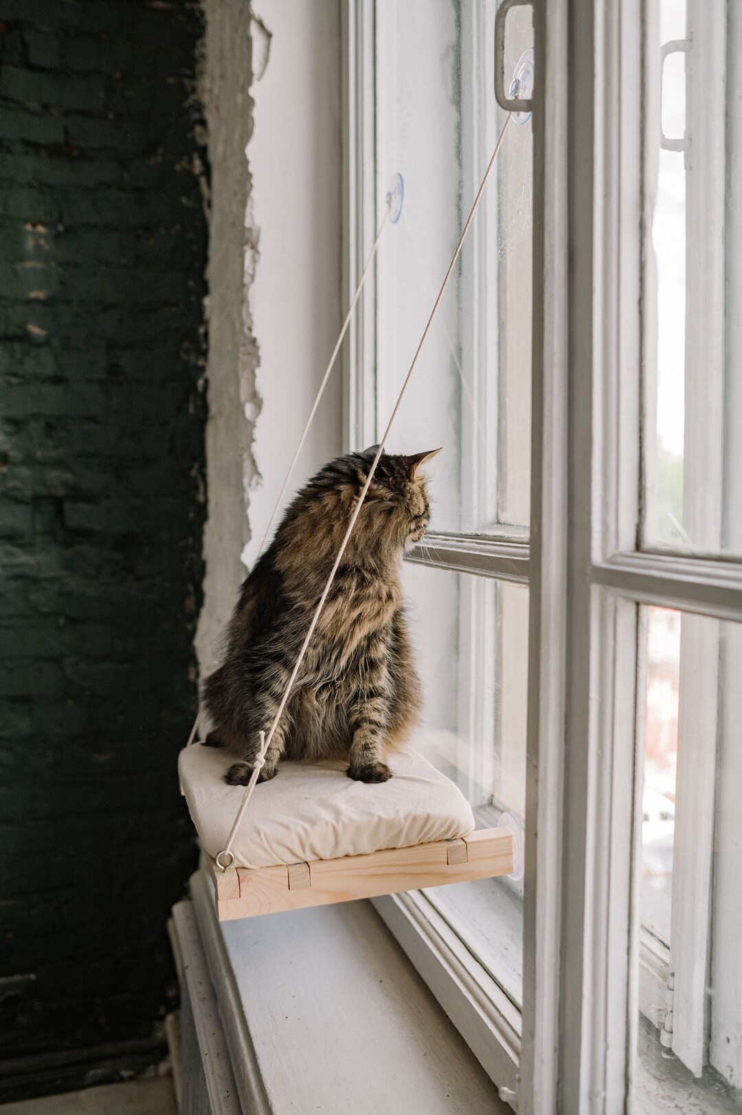 Solid Wood Cat Window Perch With Replacement Cover, Window Hammock, Bed ...