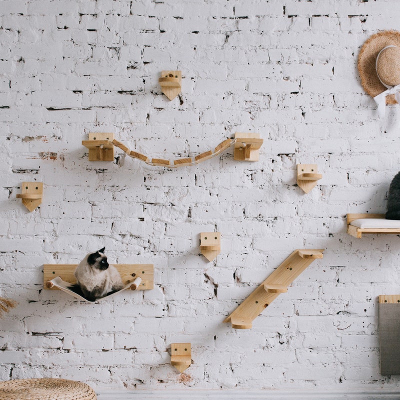 Jungle Gym for Cats - Etsy UK