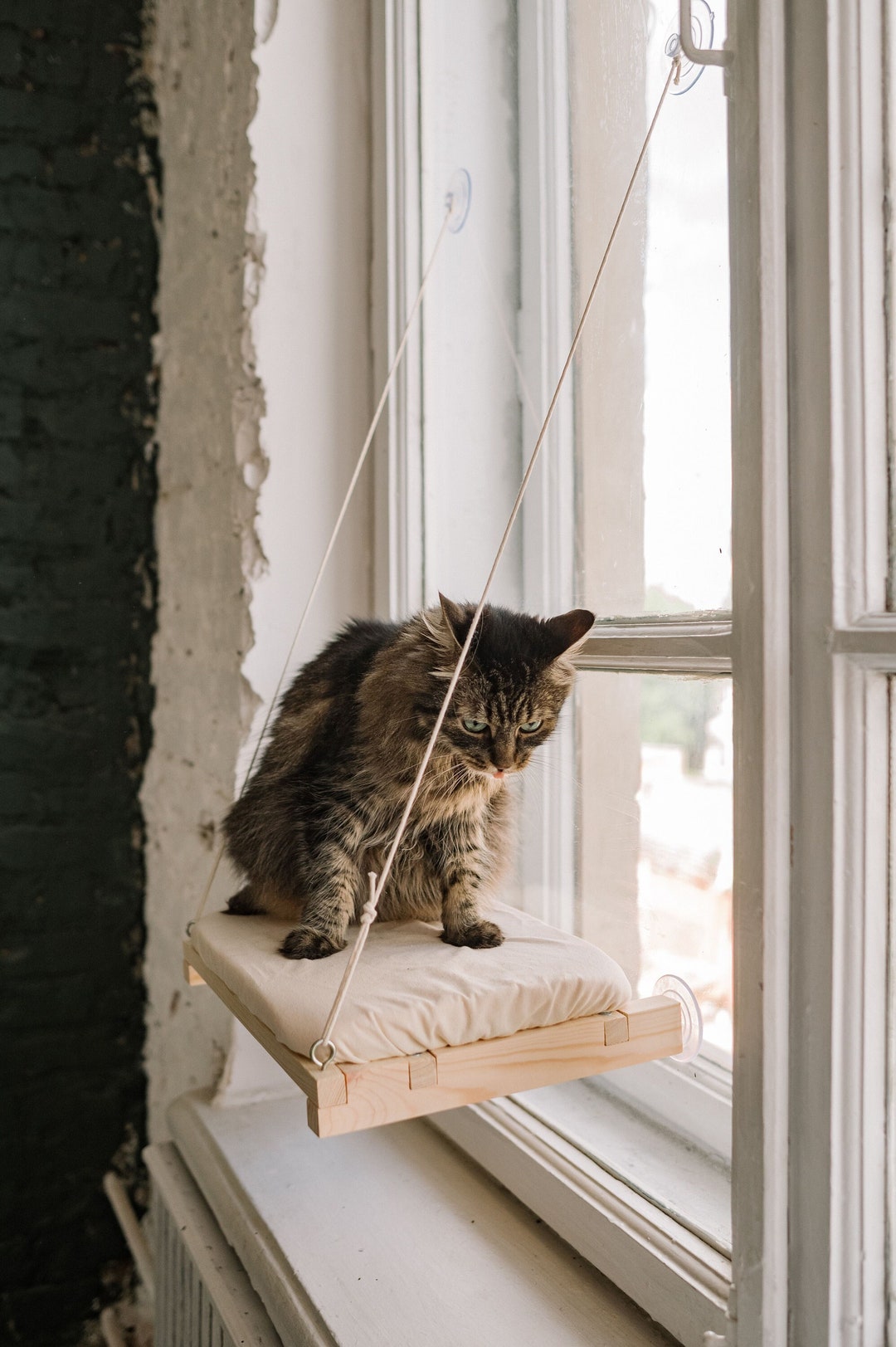 Solid Wood Cat Window Perch With Replacement Cover, Window Hammock, Bed ...