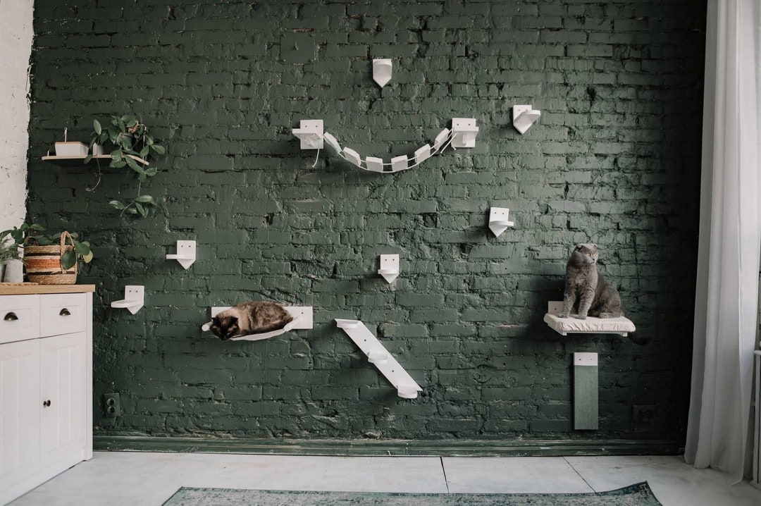 White Cat Obstacle Course, Cat Wall Shelves, Cat Play Furniture Tree ...