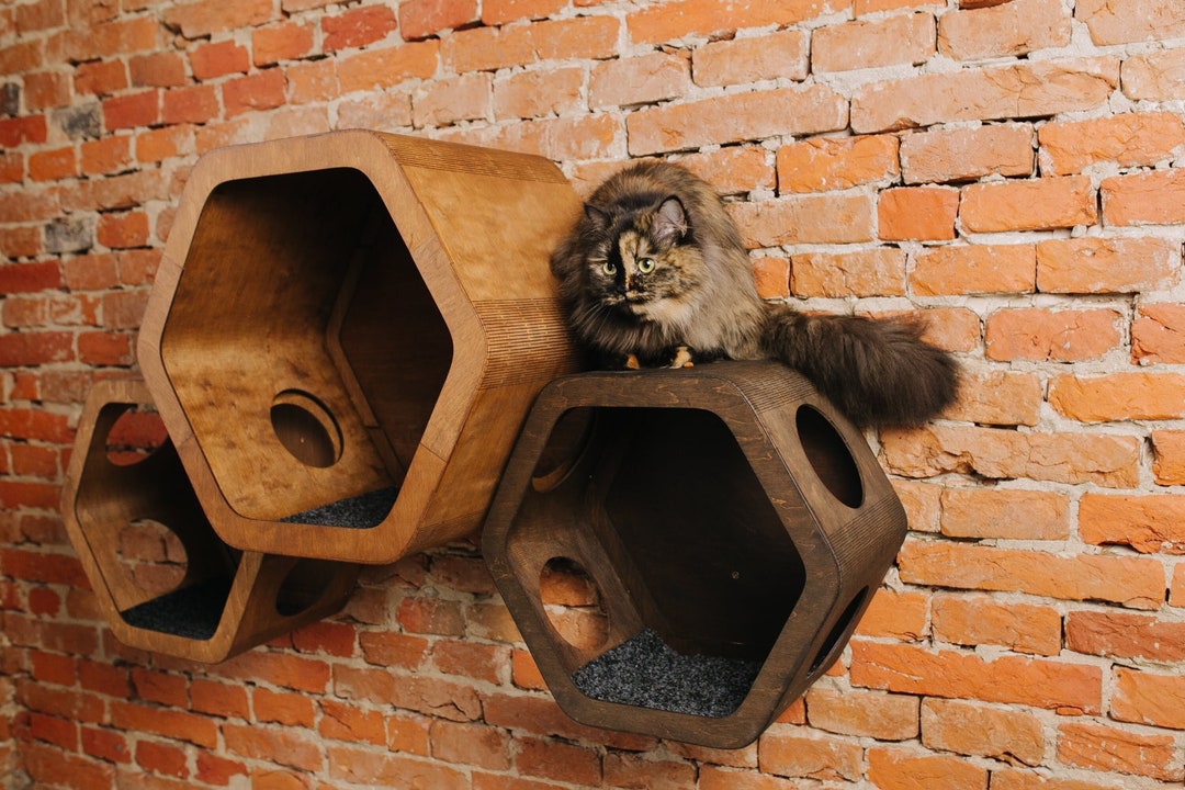 Modern Cat Wall Furniture Post, Hexagon Cat Wall Shelves Set ...