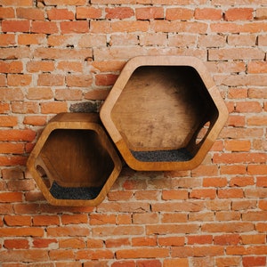 Cat Wall Hexagon Shelves Set, Minimalist Honeycomb Cat Play Furniture ...